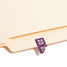 ETS Color-Coded Year Labels - Sheets